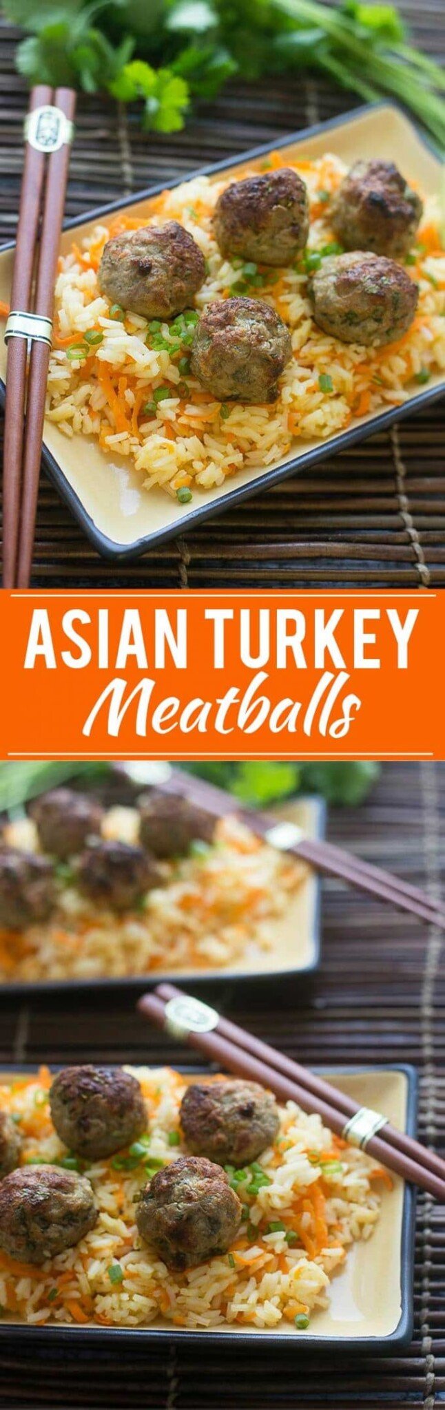 Asian Meatballs & Carrot Rice - Dinner at the Zoo