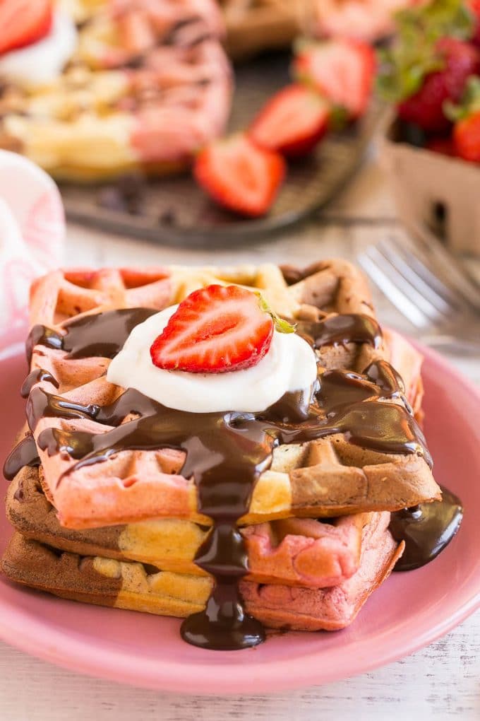 Neapolitan Waffles - Dinner at the Zoo