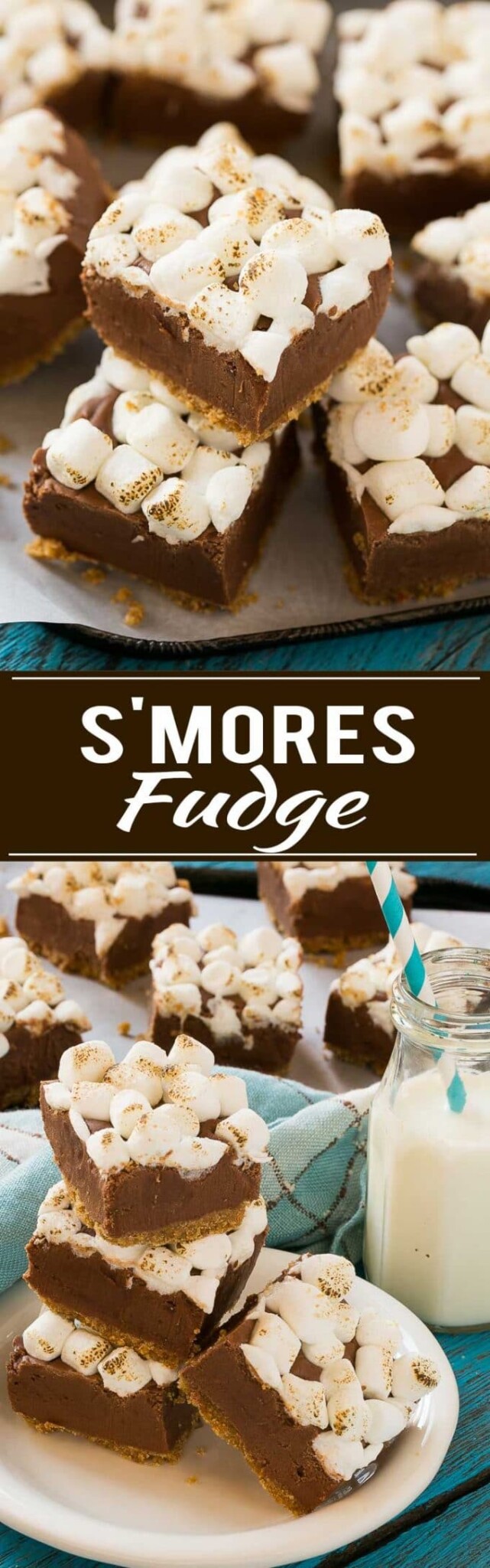 S'mores Fudge - Dinner at the Zoo