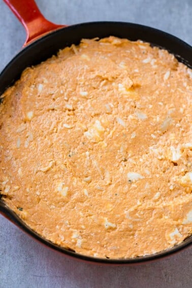 Buffalo Ranch Chicken Dip - Dinner at the Zoo