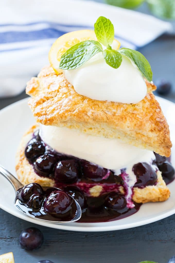 Blueberry Shortcake - Dinner at the Zoo