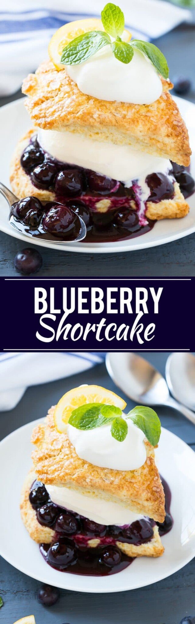 Blueberry Shortcake - Dinner at the Zoo