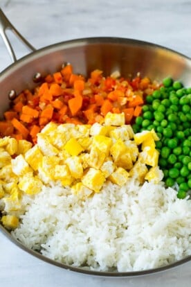 Veggie Fried Rice - Dinner at the Zoo