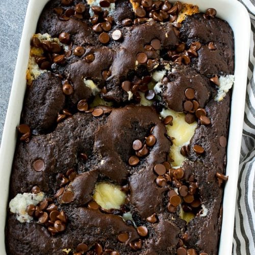 Earthquake Cake - Dinner at the Zoo