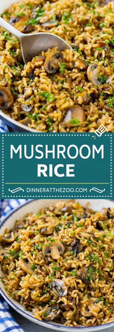 Mushroom Rice - Dinner at the Zoo