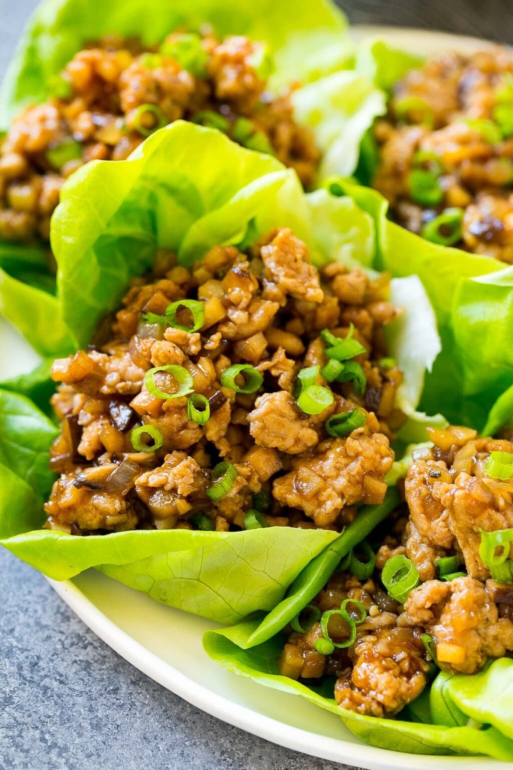 Sweet Chili Chicken - Dinner at the Zoo
