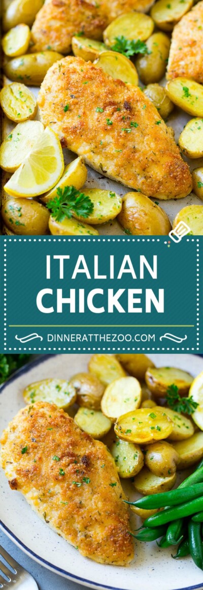 Italian Chicken - Dinner at the Zoo