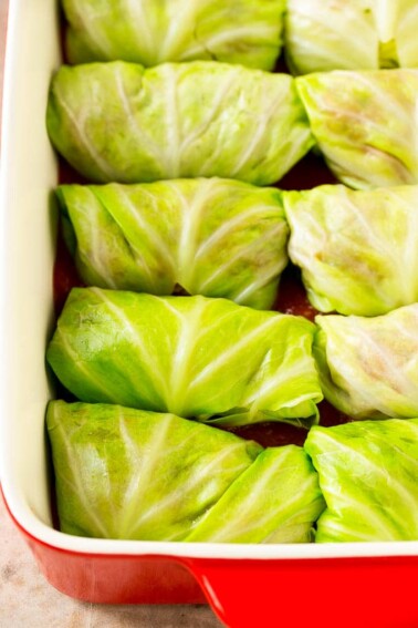 Stuffed Cabbage Rolls - Dinner at the Zoo