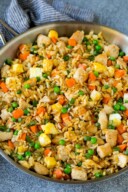 Chicken Fried Rice - Dinner at the Zoo