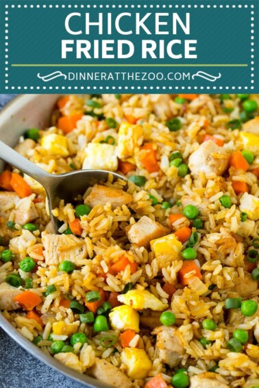 Chicken Fried Rice - Dinner at the Zoo