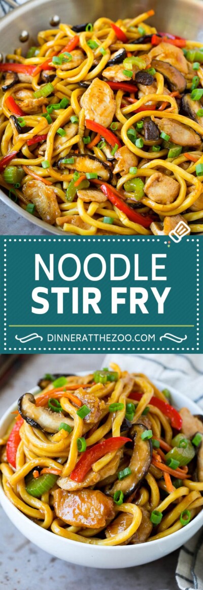 Stir Fry Noodles with Chicken - Dinner at the Zoo