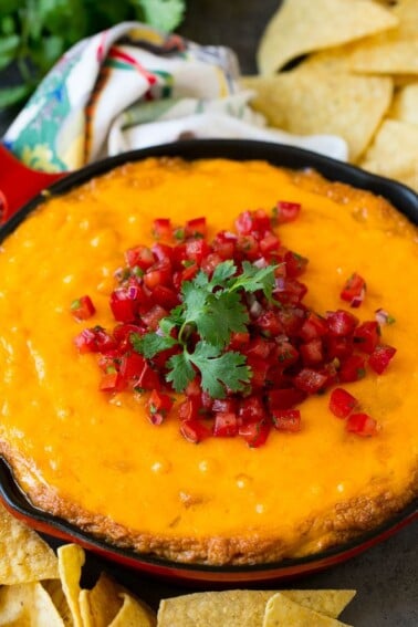 Bean Dip Recipe - Dinner at the Zoo