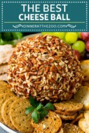 Cheese Ball Recipe - Dinner at the Zoo