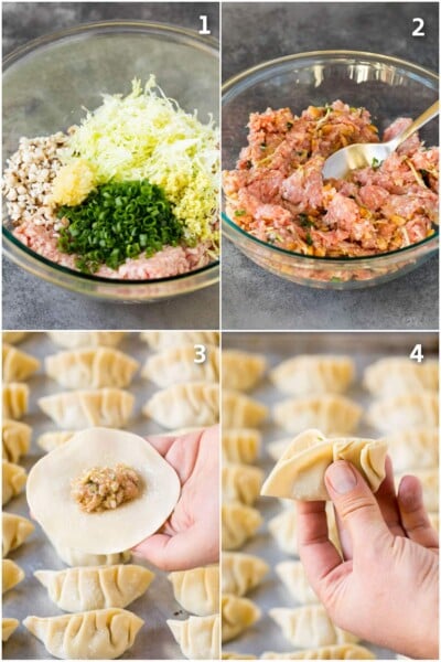 Potstickers Recipe - Dinner at the Zoo