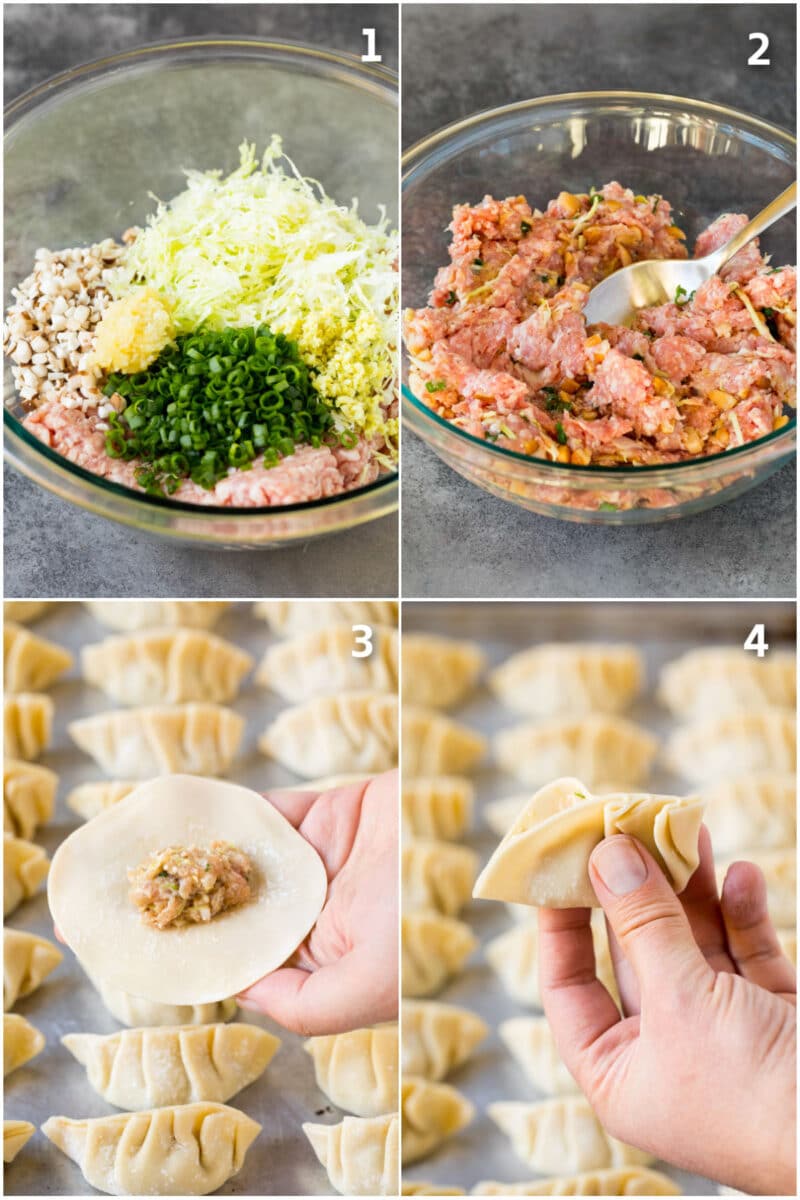 Potstickers Recipe - Dinner at the Zoo