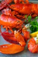 How to Cook a Lobster - Dinner at the Zoo