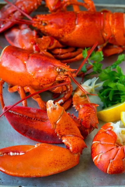 How to Cook a Lobster - Dinner at the Zoo