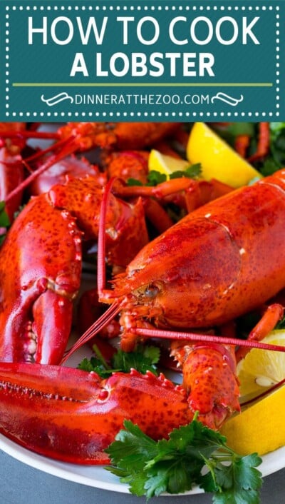 How to Cook a Lobster - Dinner at the Zoo