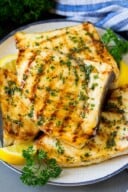 Grilled Swordfish - Dinner at the Zoo