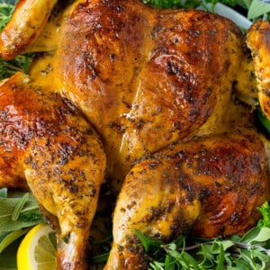 Spatchcock Chicken - Dinner at the Zoo