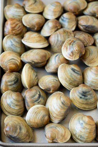 Steamed Clams in Garlic Butter - Dinner at the Zoo