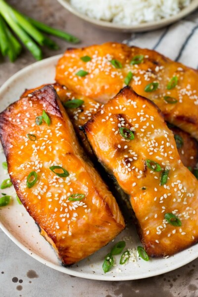 Miso Salmon - Dinner at the Zoo