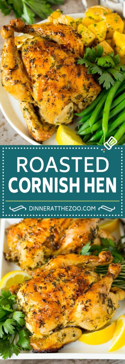 Roasted Cornish Hen - Dinner at the Zoo