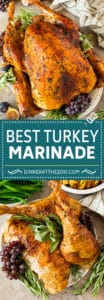 The Best Turkey Marinade Recipe - Dinner at the Zoo