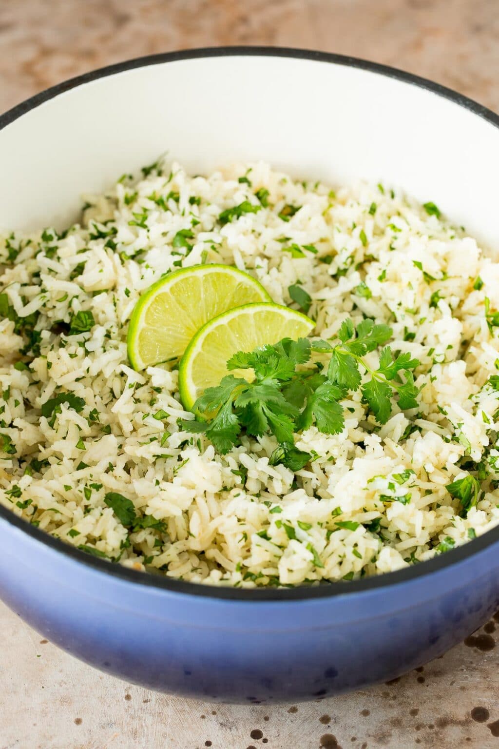 Cilantro Lime Rice - Dinner at the Zoo
