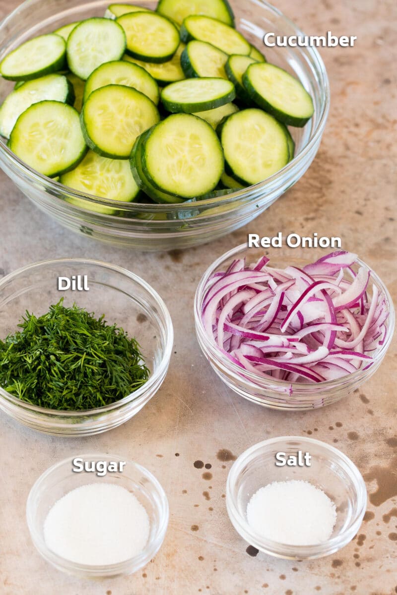 Cucumber Dill Salad - Dinner at the Zoo