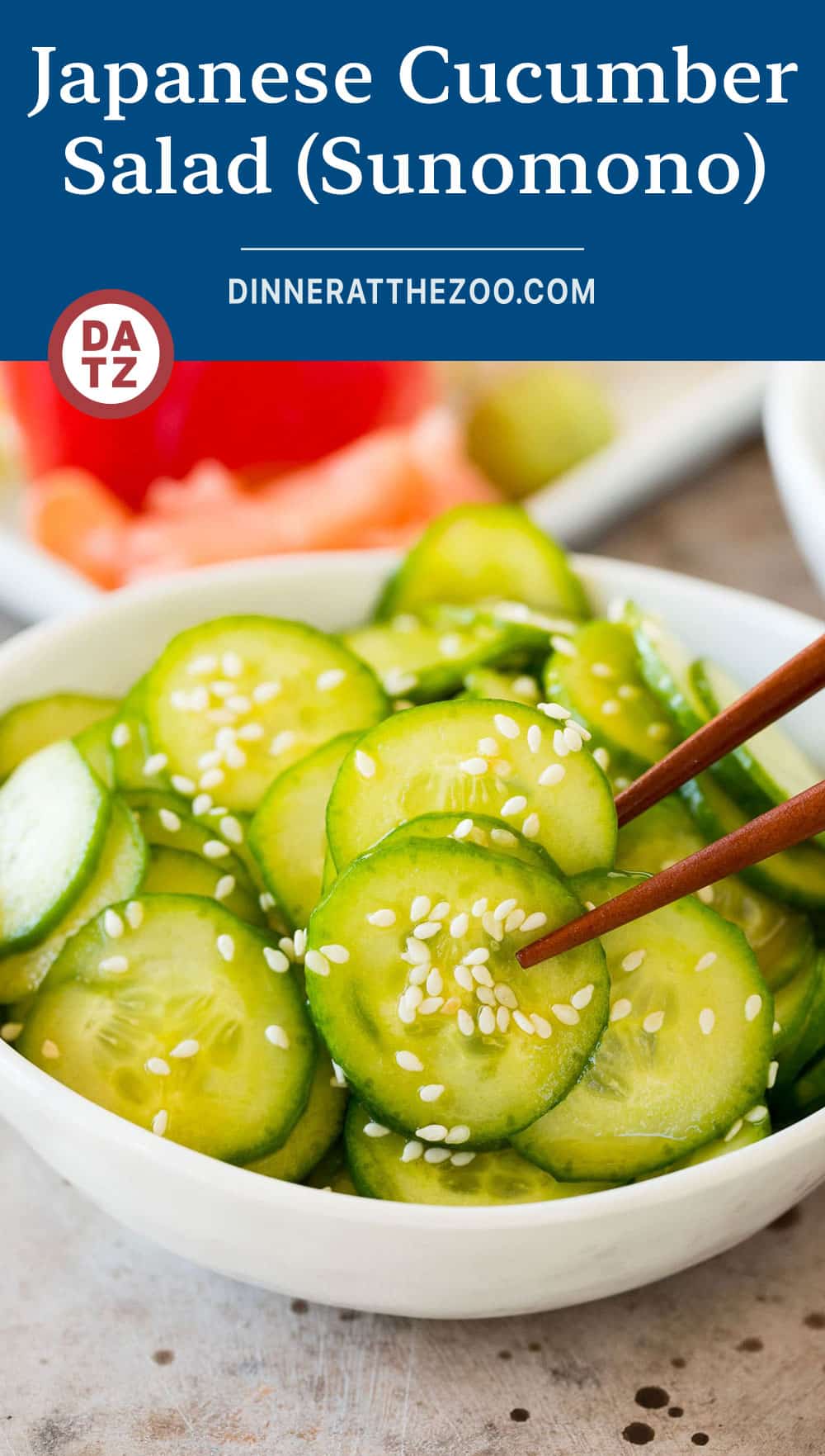 Japanese Cucumber Salad (Sunomono) - Dinner at the Zoo