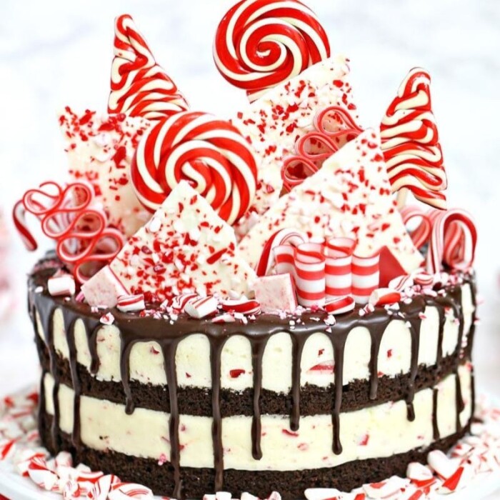 20 Candy Cane Recipes - Dinner at the Zoo