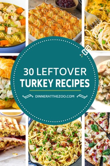 Roundups - Dinner at the Zoo