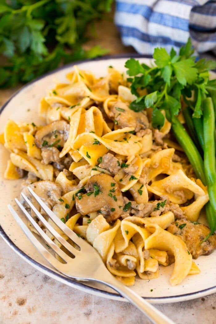 Ground Beef Stroganoff - Dinner at the Zoo