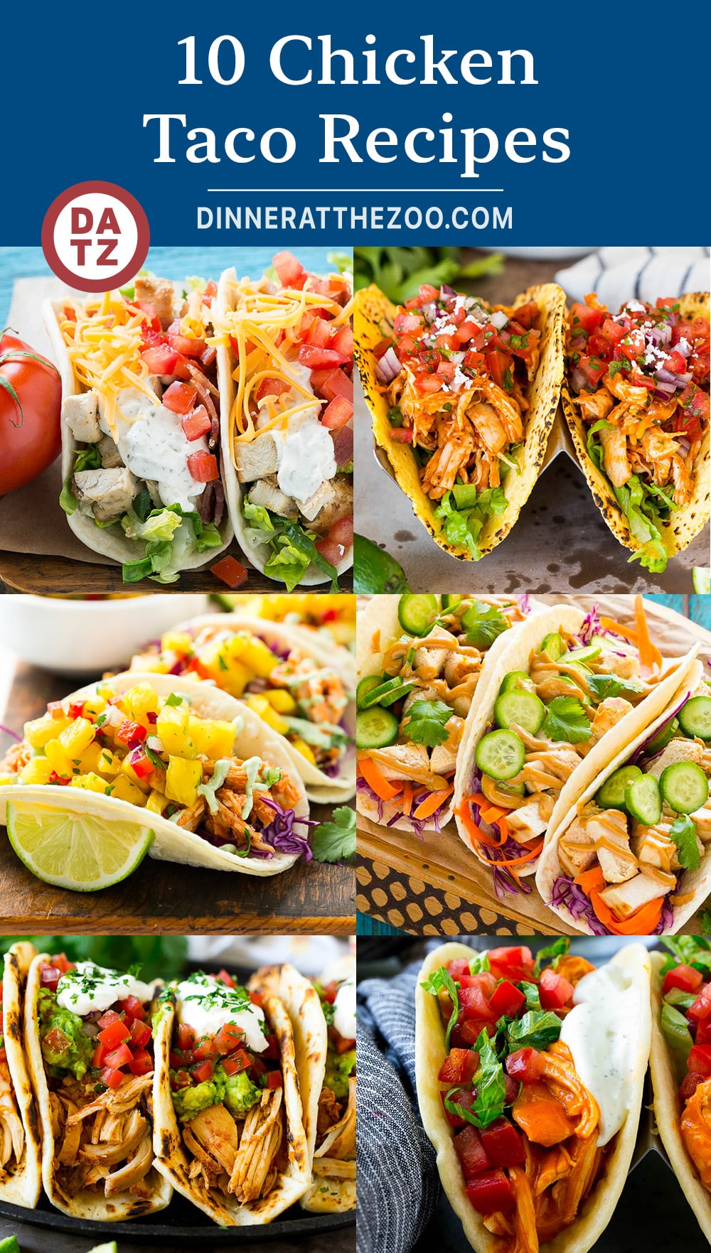 10 Delicious Chicken Taco Recipes - Dinner at the Zoo