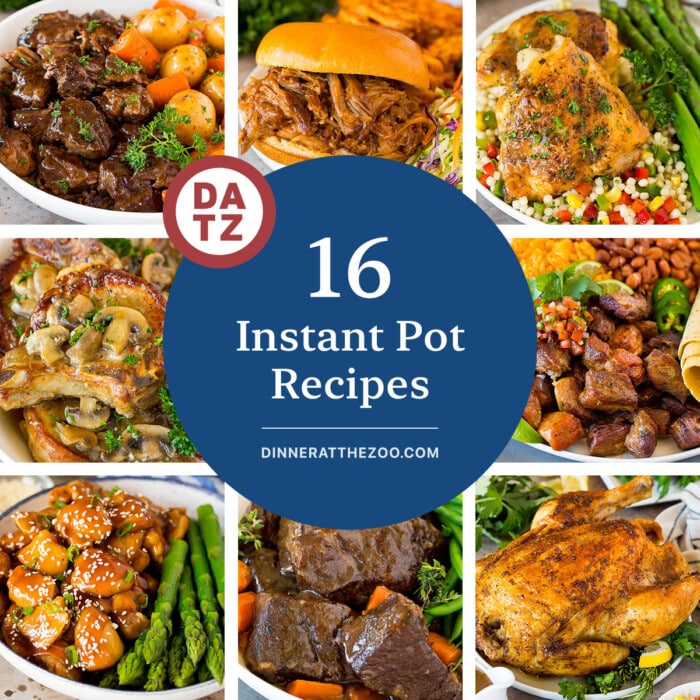 16 Instant Pot Recipes - Dinner at the Zoo