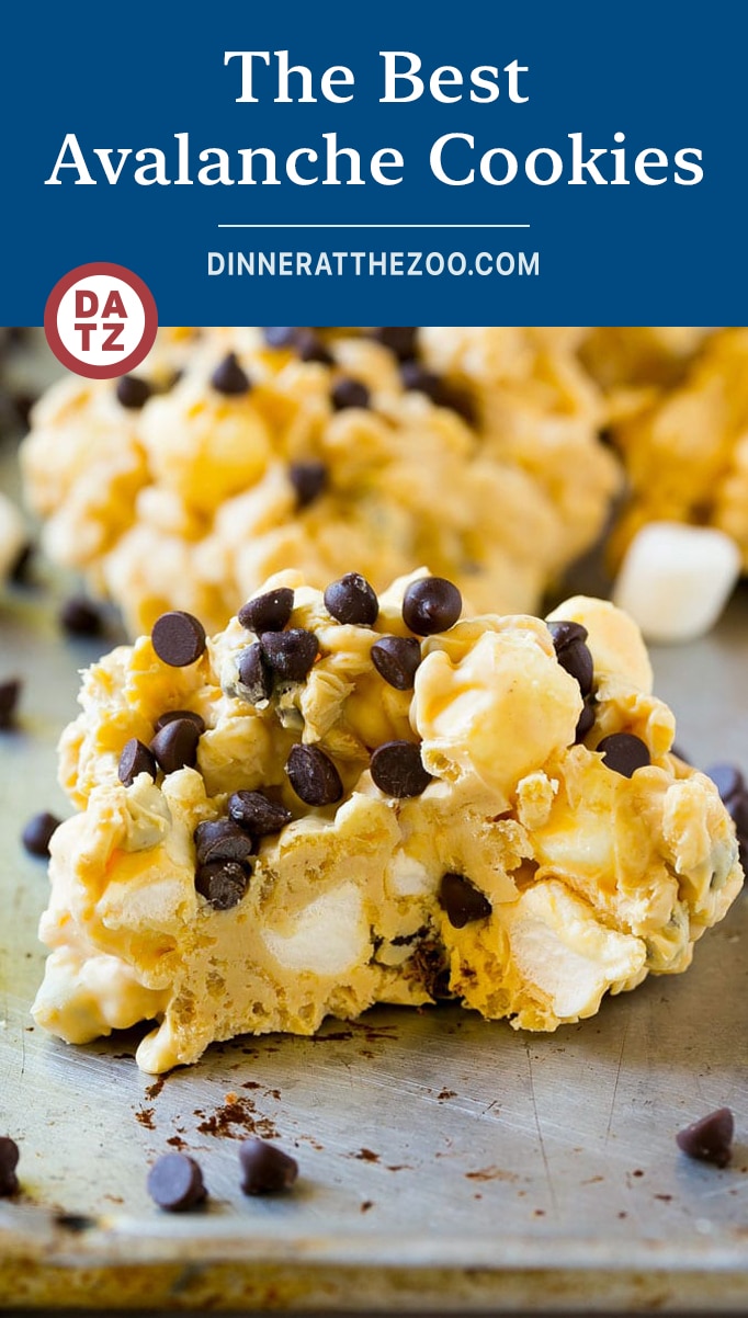 Avalanche Cookies (No Bake) - Dinner at the Zoo