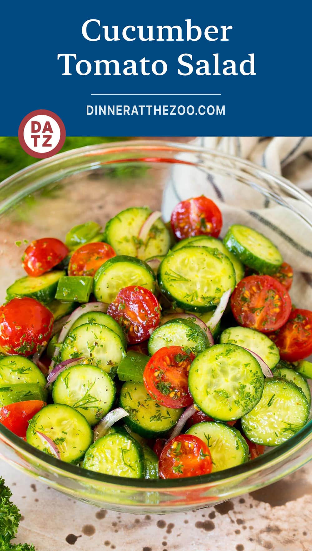 Cucumber Tomato Salad - Dinner at the Zoo