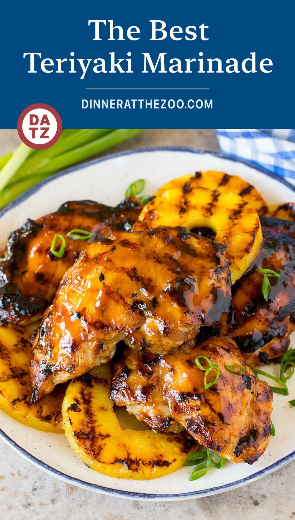 Teriyaki Marinade - Dinner at the Zoo