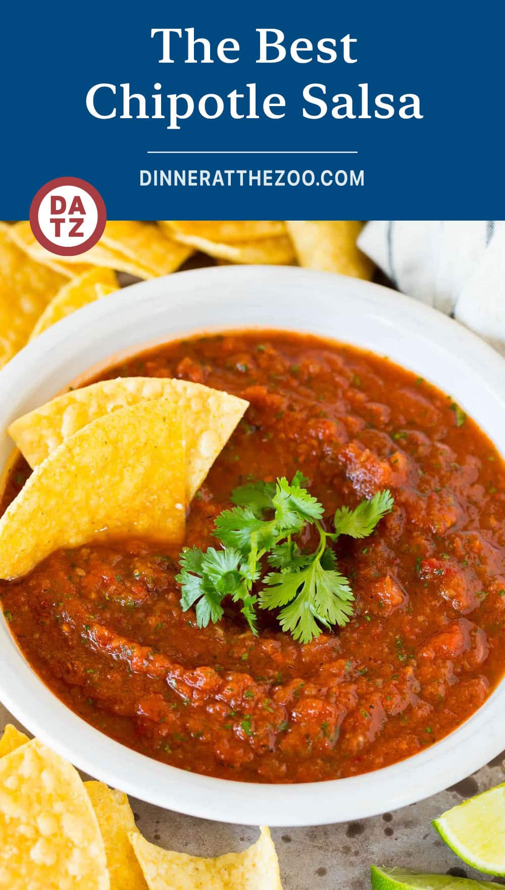 Chipotle Salsa Recipe - Dinner at the Zoo
