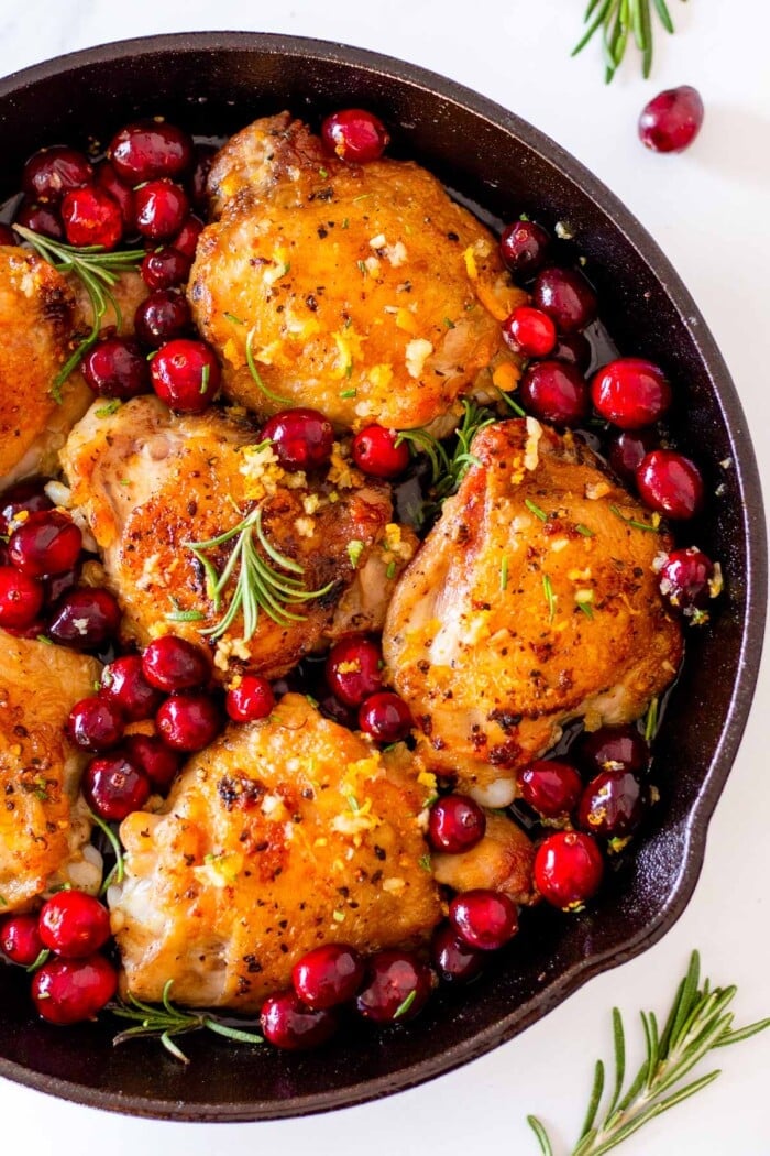 Cranberry Chicken - Dinner at the Zoo