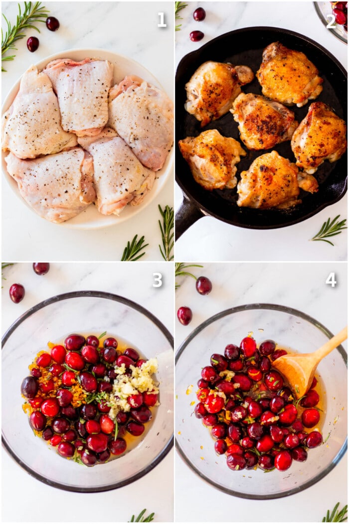 Cranberry Chicken - Dinner at the Zoo