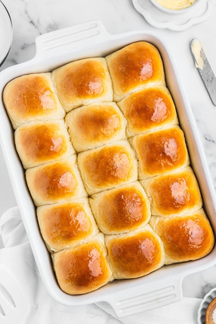 Homemade Dinner Rolls Recipe - Dinner at the Zoo