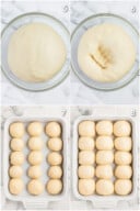 Homemade Dinner Rolls Recipe - Dinner at the Zoo