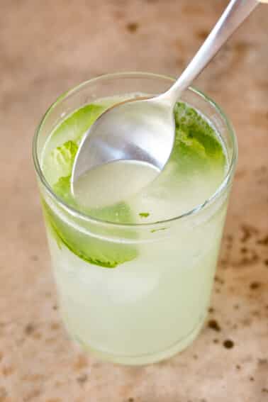 Mojito Mocktail - Dinner at the Zoo