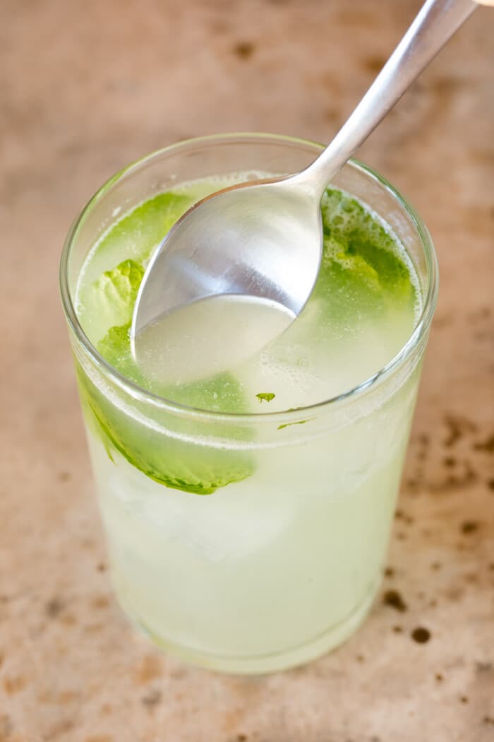 Mojito Mocktail - Dinner at the Zoo