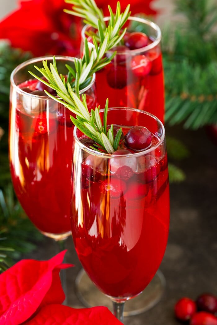 Poinsettia Cocktail - Dinner at the Zoo