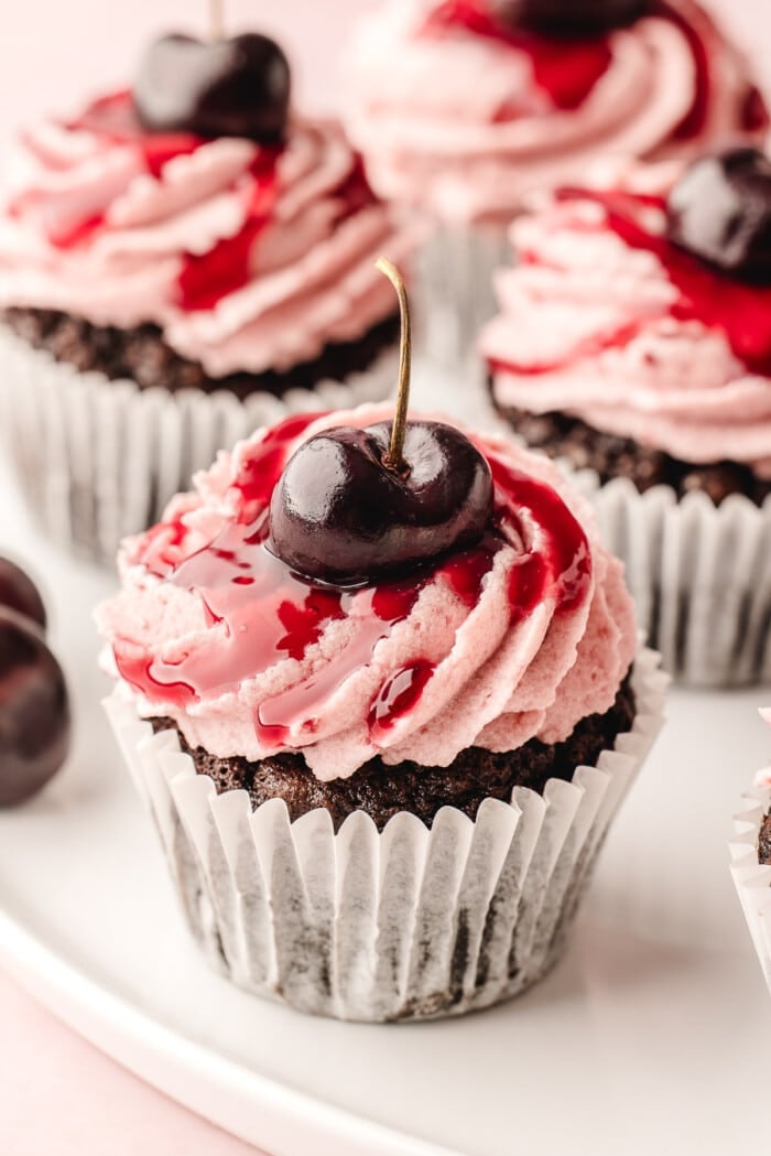 Black Forest Cupcakes - Dinner at the Zoo