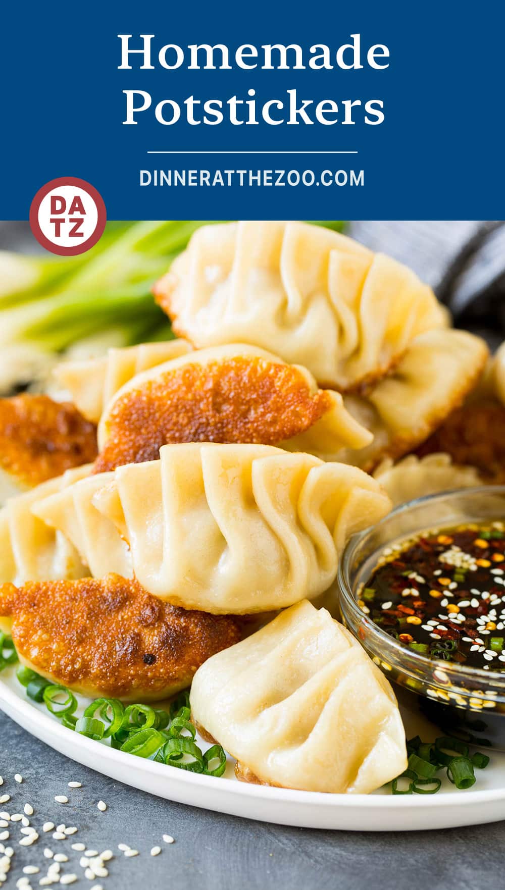 Potstickers Recipe - Dinner at the Zoo