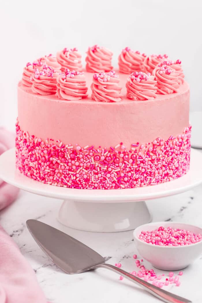 Pink Cake Recipe - Dinner at the Zoo